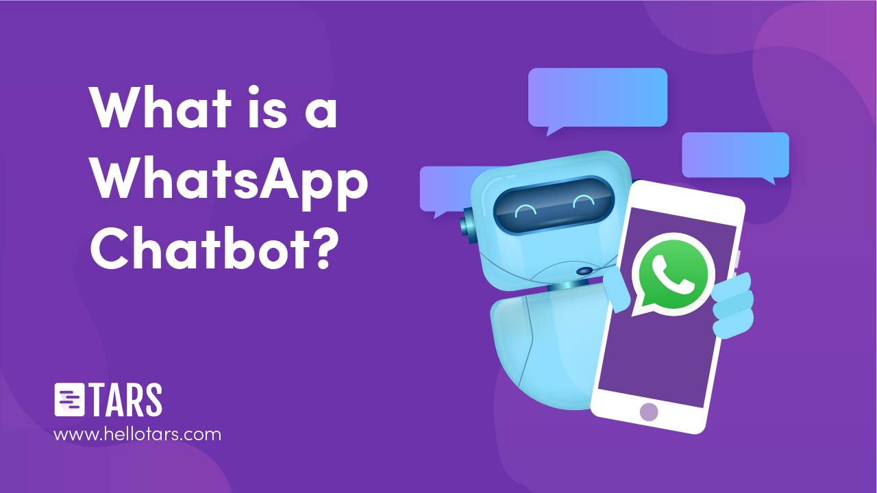 Whats App Erotic Chatbot Albumlsa