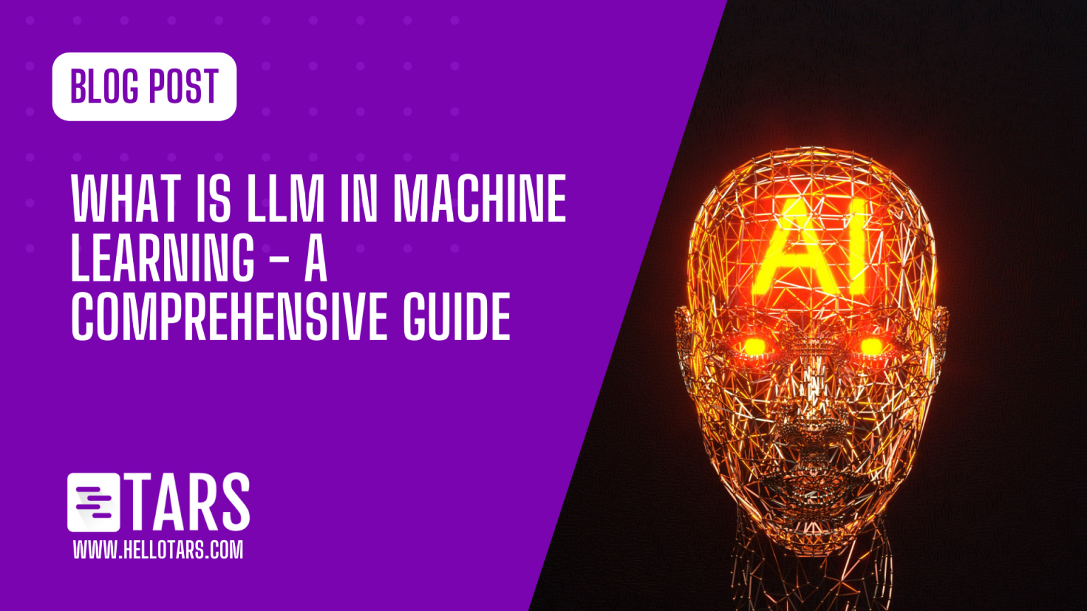 What is LLM in Machine Learning - A Comprehensive Guide - Tars Blog